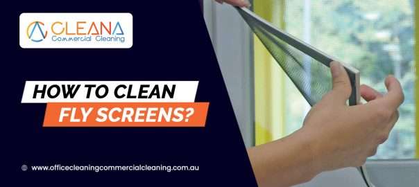How To Clean Fly Screens? | CLEANA